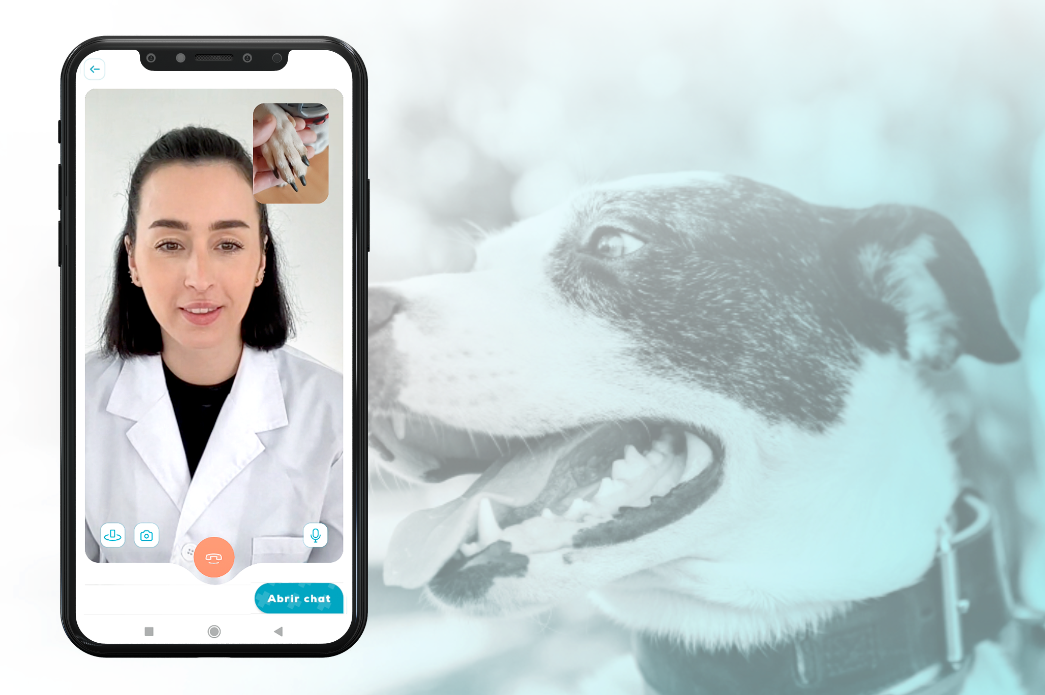 Veterapp, la app móvil de visita veterinaria | ADVERTIS